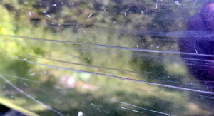 Keyed Car VS Scratch - How to Tell if Your Car Was Keyed - CarCareCamp